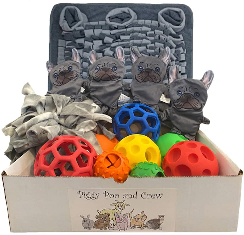 Piggy Poo and Crew Pig Box - Pet Box - Gift Box - Bundle of Toys